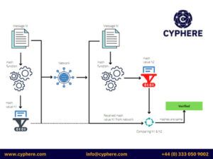 Difference between encryption and hashing |Salt Cryptography